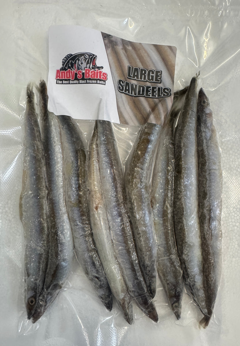 Sand Eels -Large IQF (Individual quick frozen) – Baits'R'Us