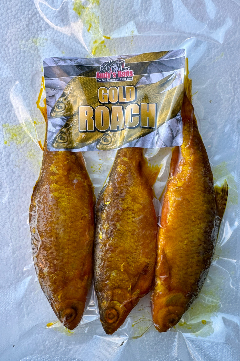 New! Gold Roach – Baits'R'Us