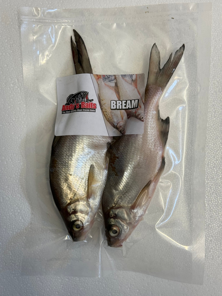 Large Bream – Baits'R'Us