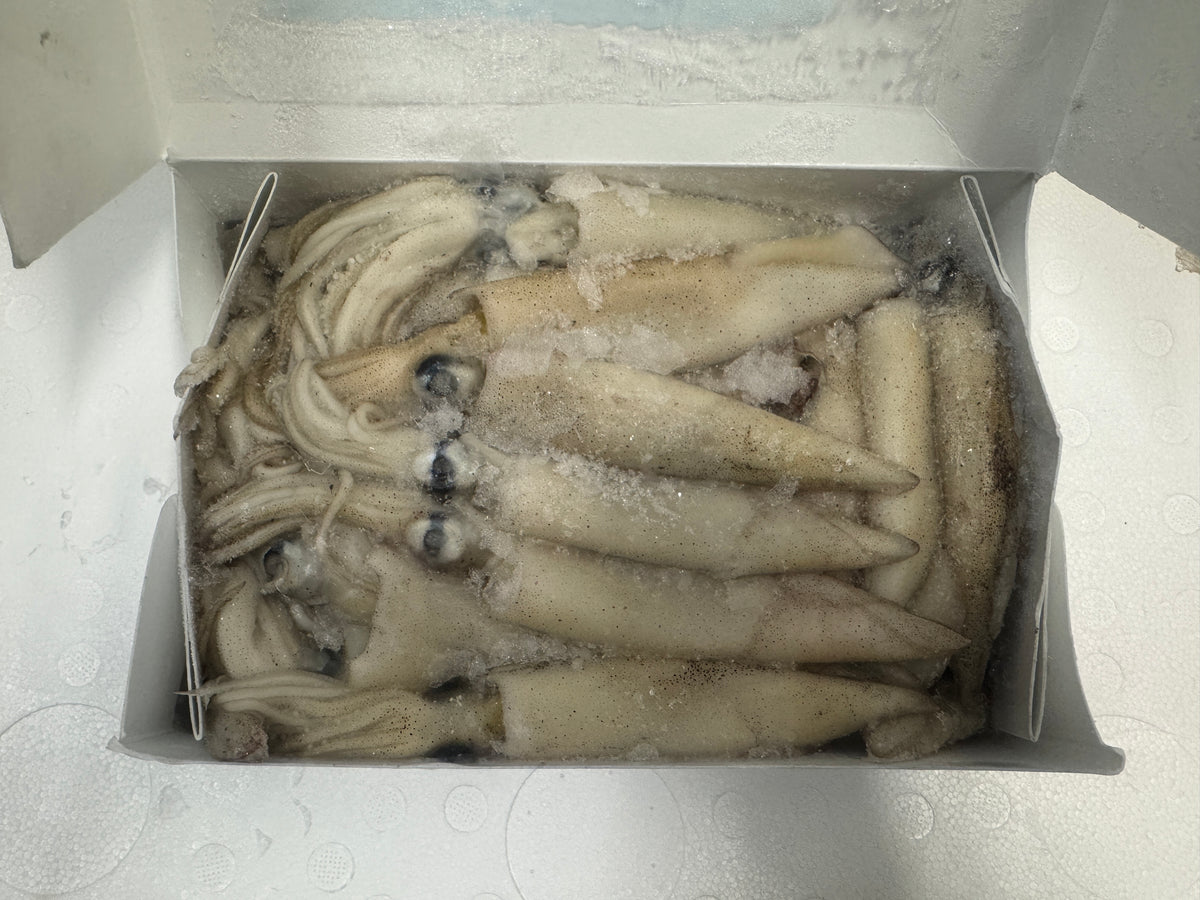 Lunds Calamari Squid 3lB (Limited Offer) – Baits'R'Us