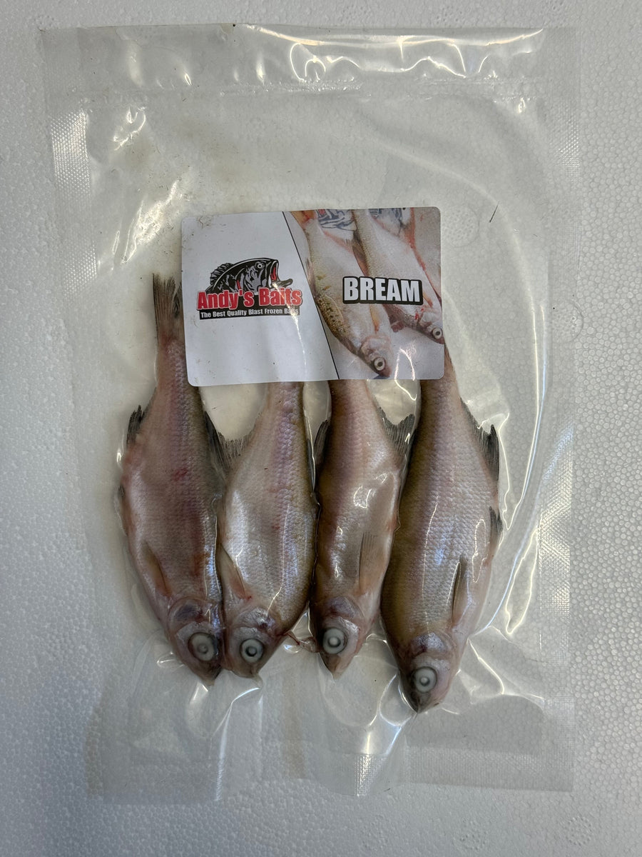 Small Bream – Baits'R'Us