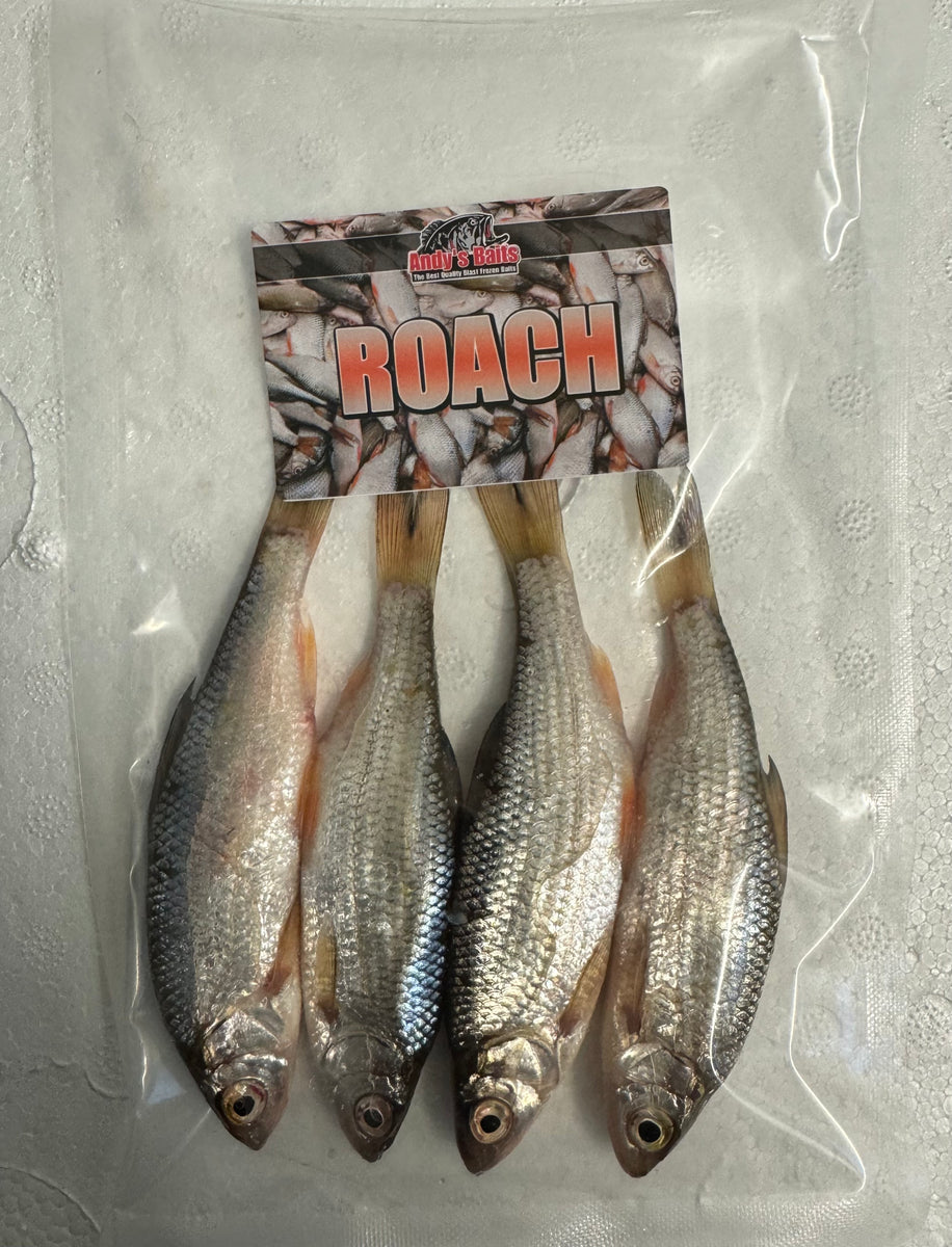 Small Roach 10x Bags Deal – Baits'R'Us