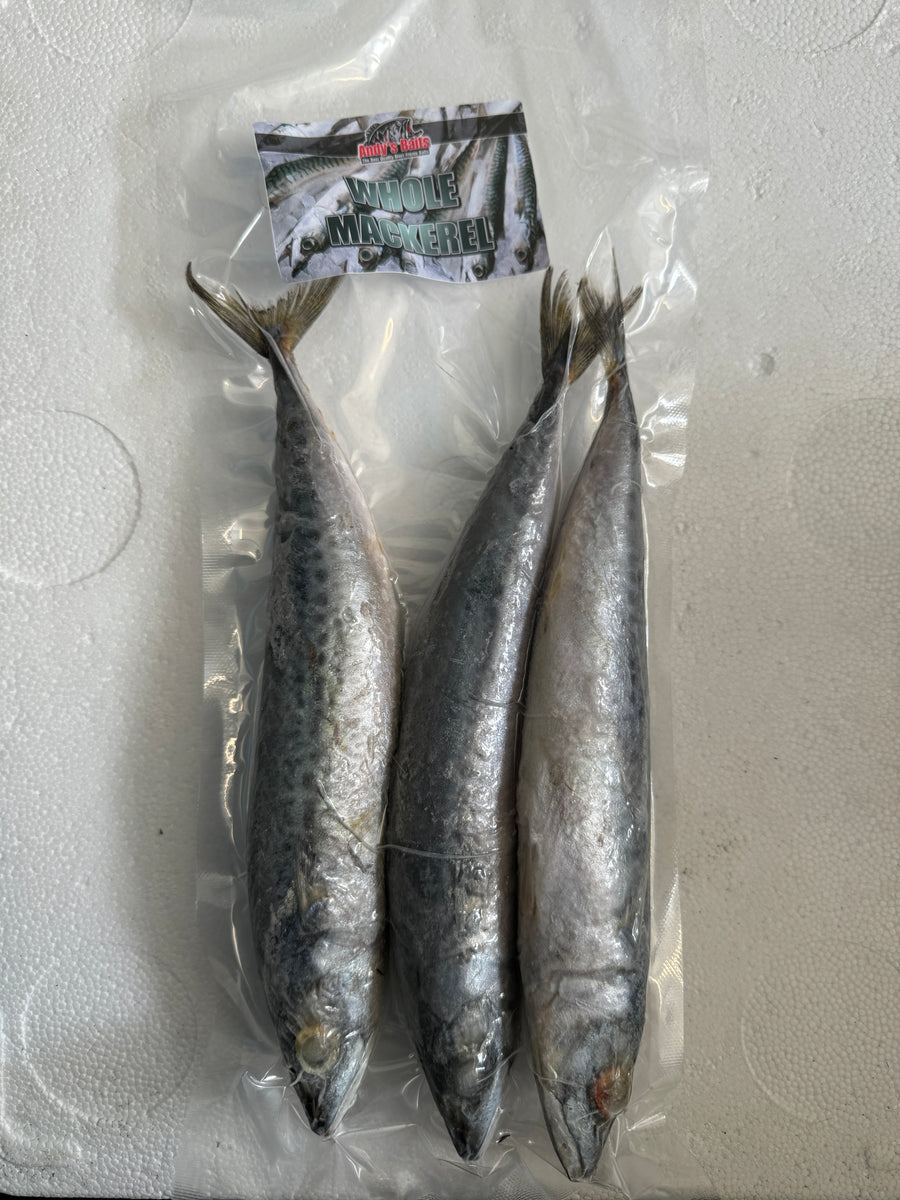Whole Mackerel 3 Per Bag (IQF Packed) – Baits'R'Us