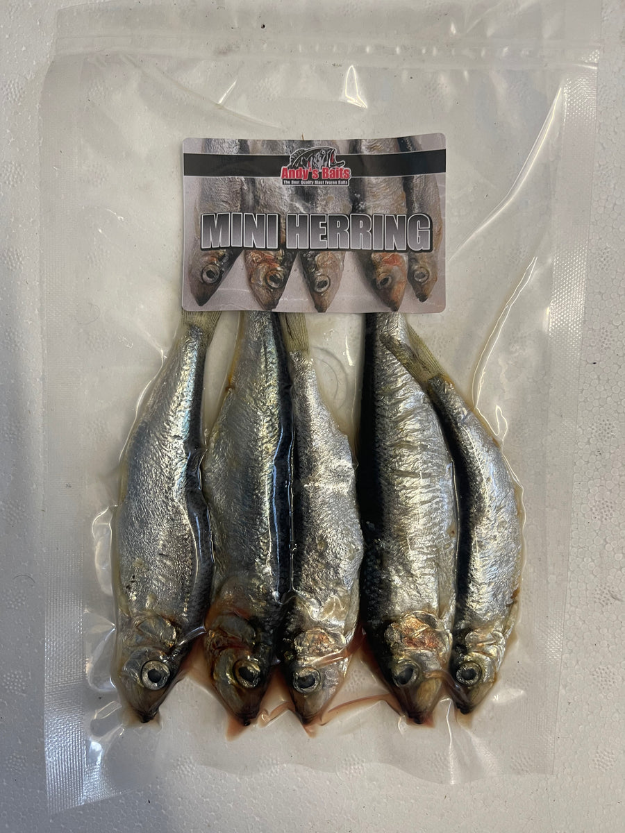 Mini Herring – Baits'R'Us