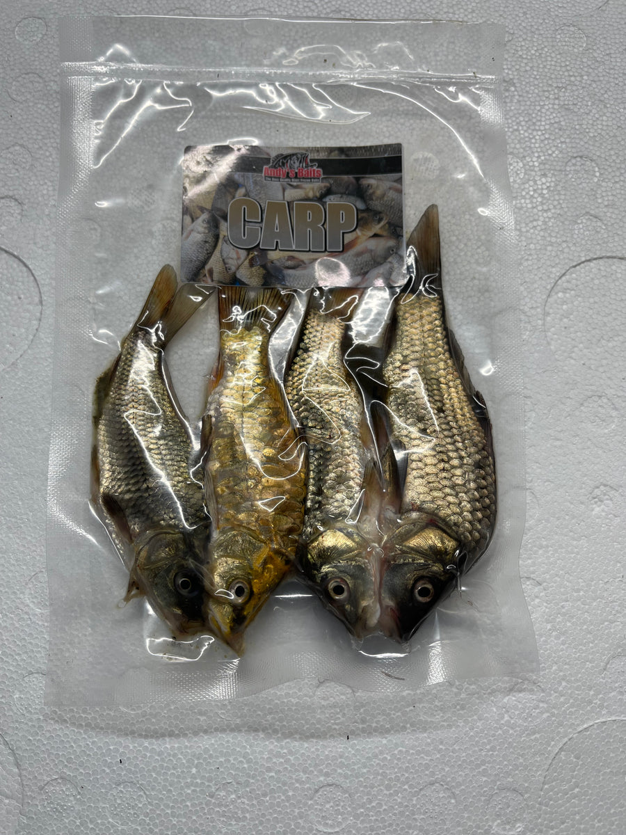 Hybrid F1 Carp - 4 Per Bag – Baits'R'Us