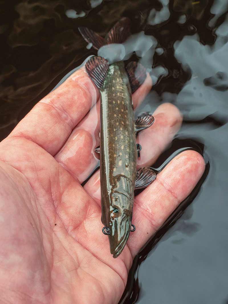 Fox Rage Ultra-Realistic Pike Replicant – Baits'R'Us