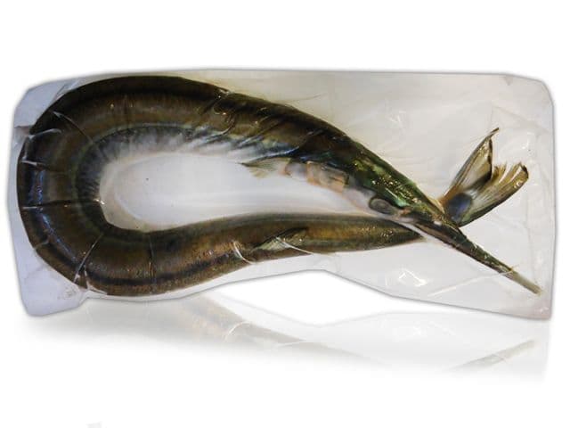 XL Garfish – Baits'R'Us