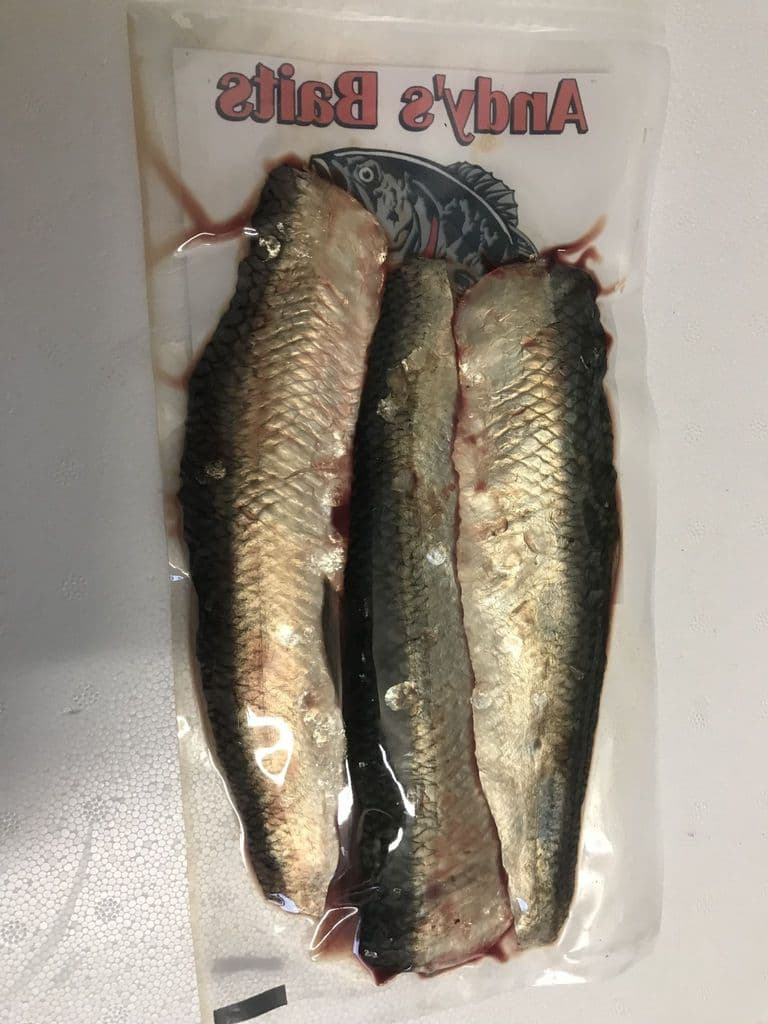Herring Fillets – Baits'R'Us