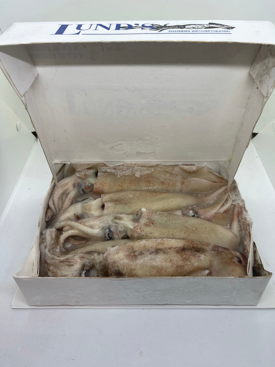 Lund’s Dirty Squid 5lB (Illex) – Baits'R'Us