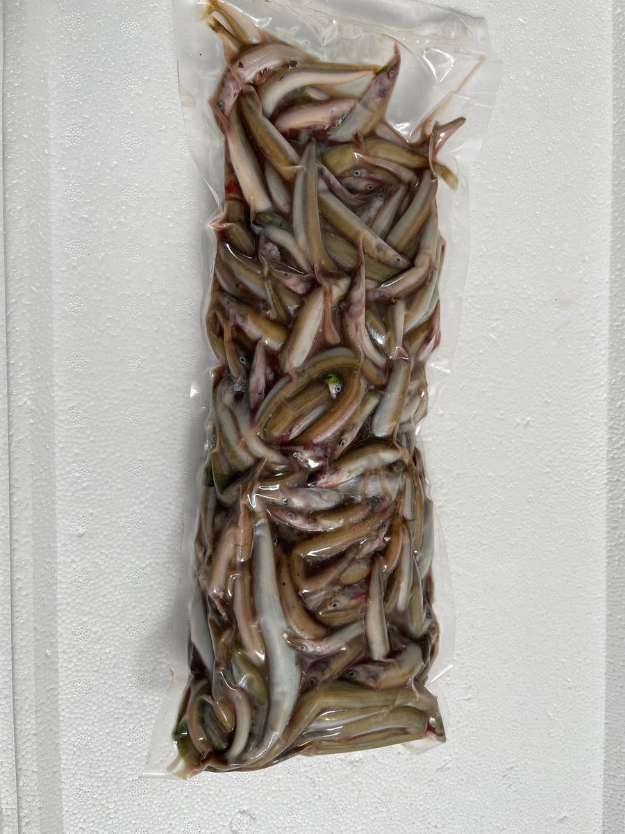 1kg Sand Eels Bag - Lower Grade – Baits'R'Us
